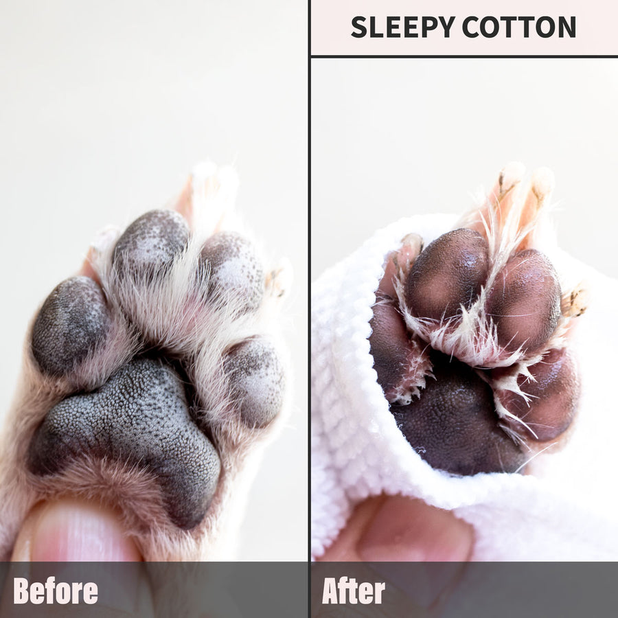Sleepy Beans (8.8 fl oz) – SleepyCotton