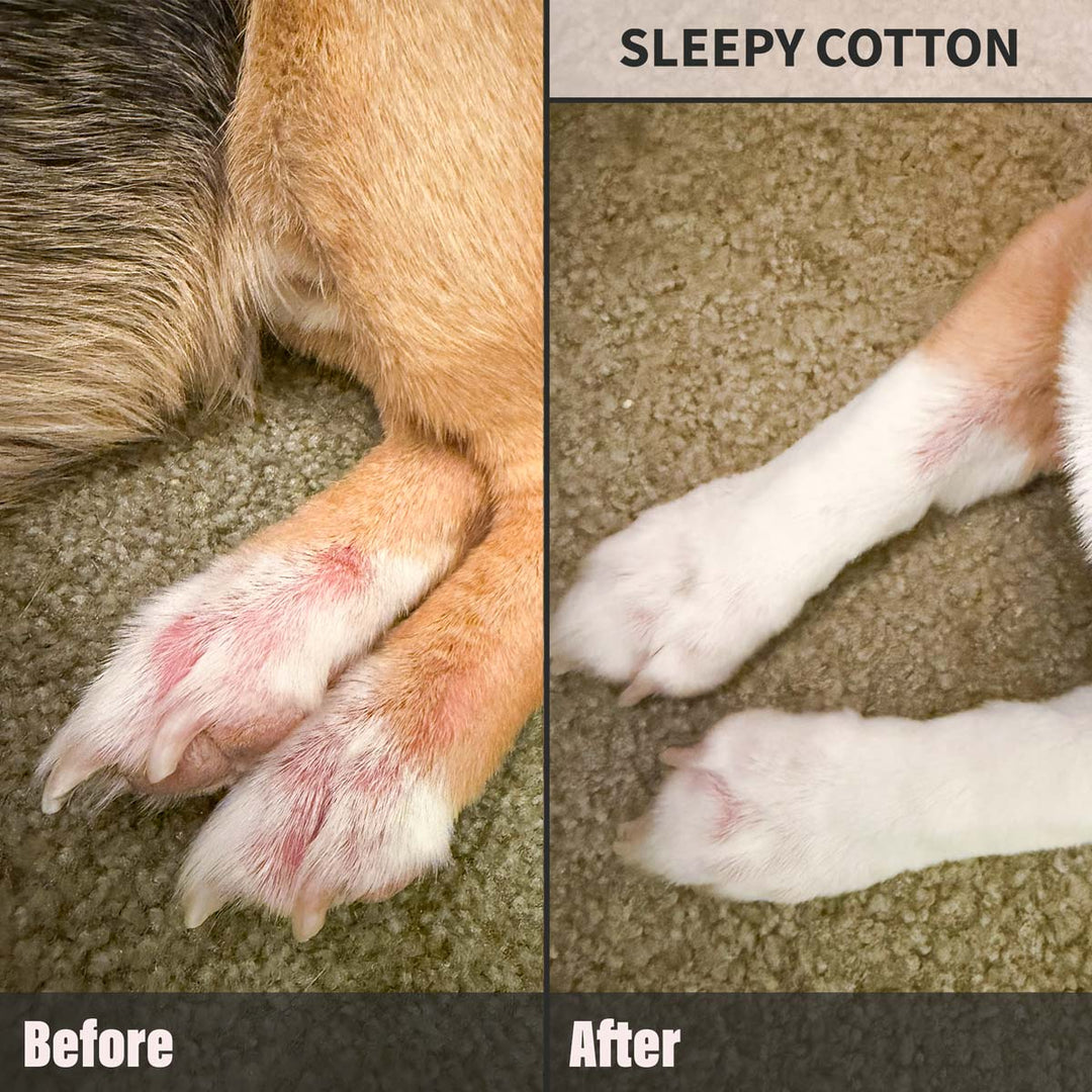 Sleepy Beans (8.8 fl oz) – SleepyCotton