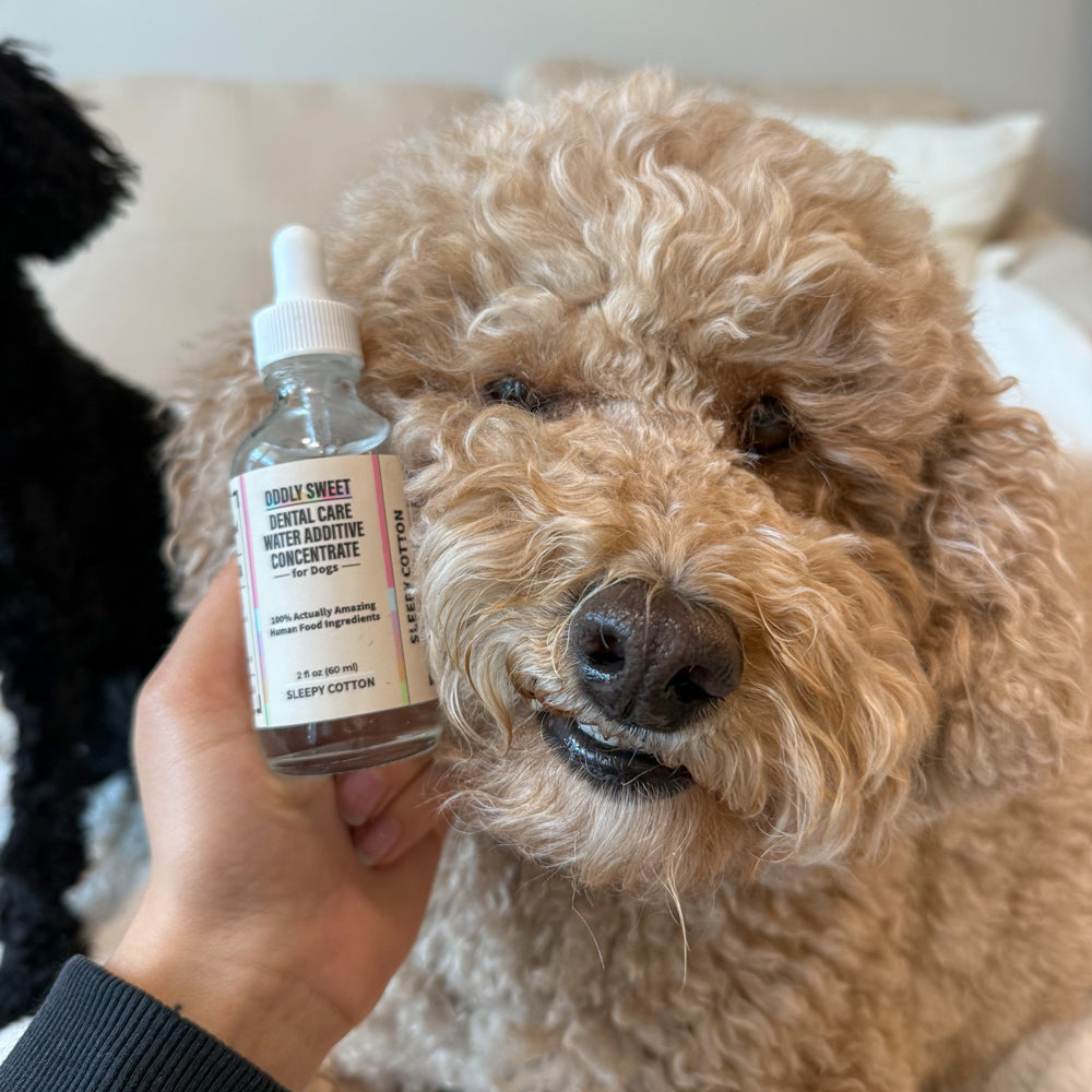 Personal + Pawsonal Care Designed and Crafted in Dallas, TX – SleepyCotton