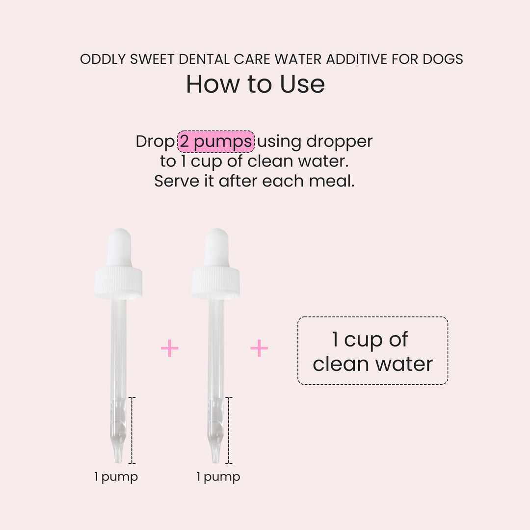 Oddly Sweet Dental Care Water Additive for Dogs – SleepyCotton