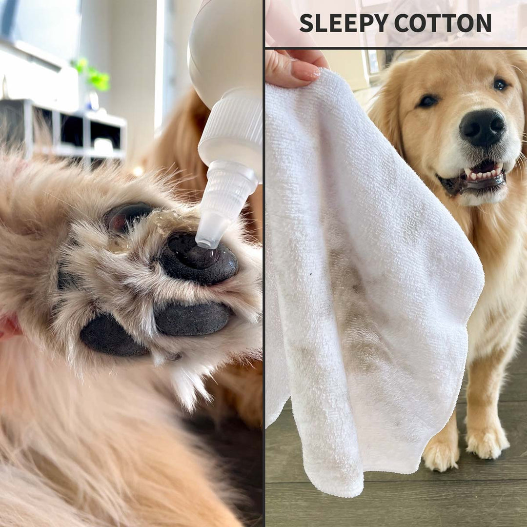 Sleepy Beans (8.8 fl oz) – SleepyCotton