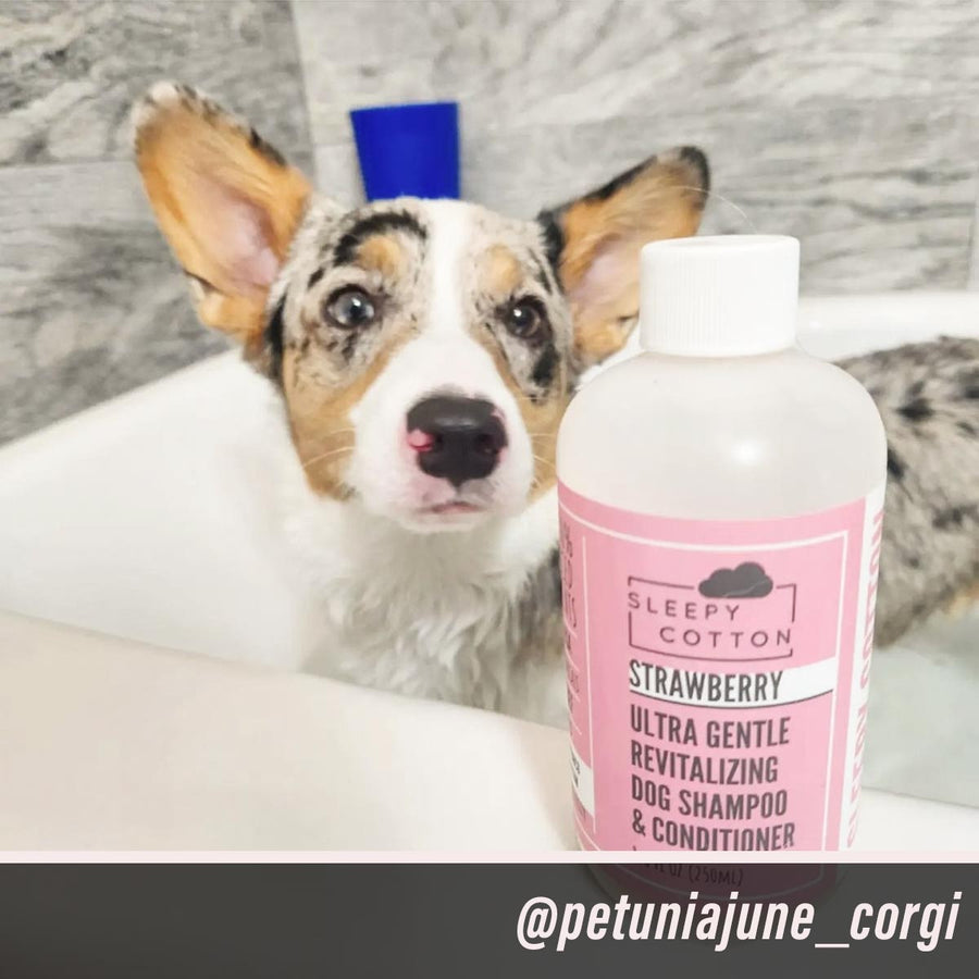 Strawberry - Ultra Gentle Revitalizing Dog Shampoo – SleepyCotton